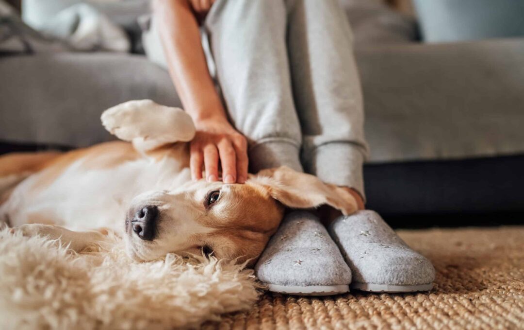 The PTSD symptom that’s hiding in plain sight: Avoidance | Freespira